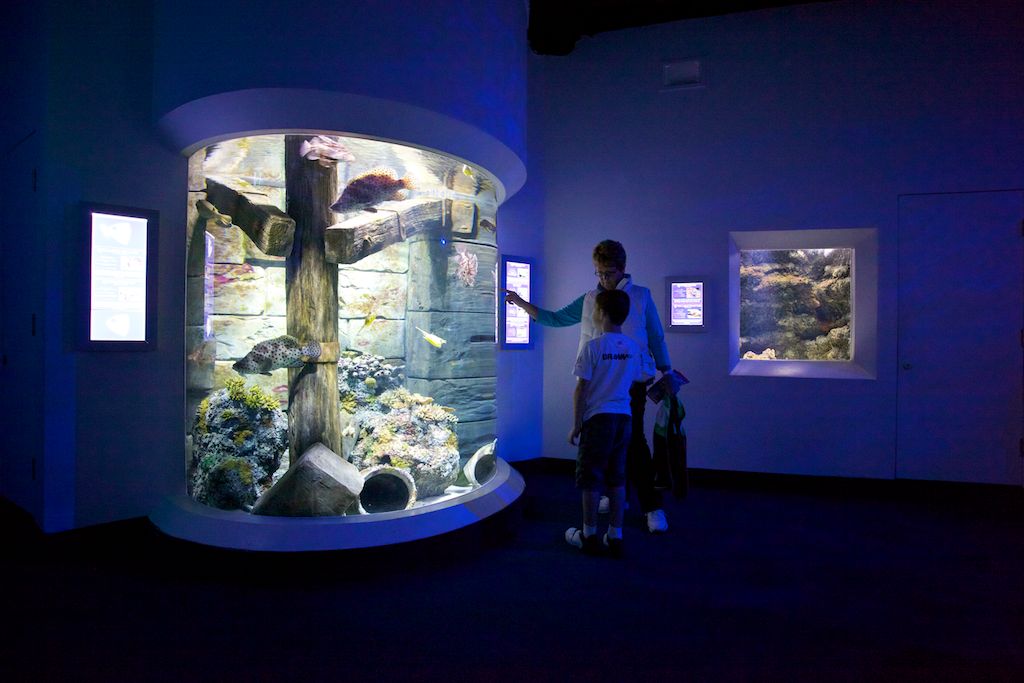 Exhibits - Bristol Aquarium