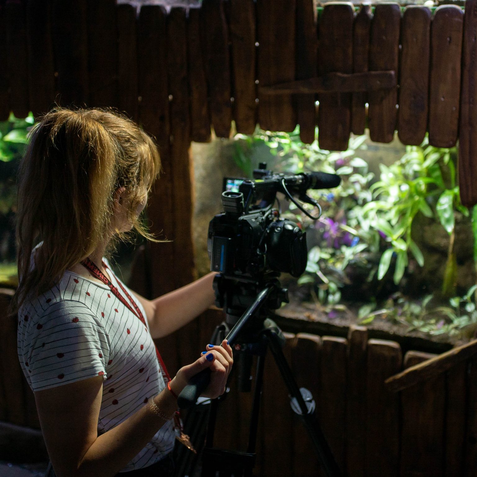 Captive Breeding: What Is It and Why Is It Vital for Conservation ...