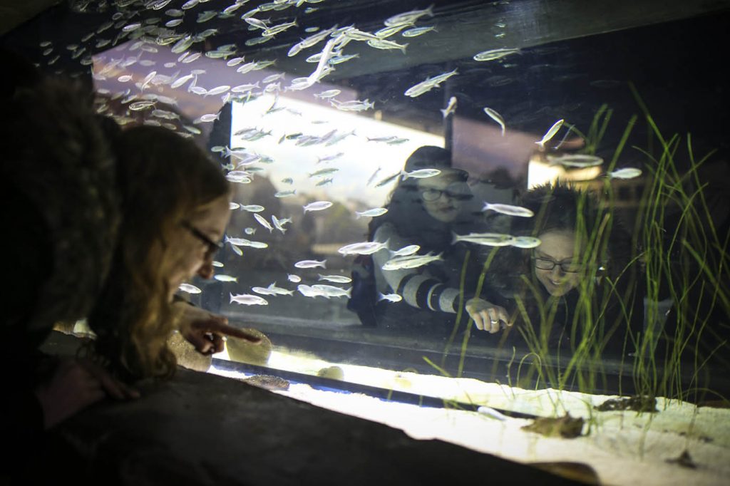 Venue Hire | Events and Experiences | Bristol Aquarium