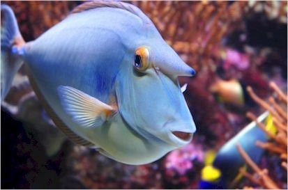 These Happy Sea Creatures Will Make You Smile - Bristol Aquarium