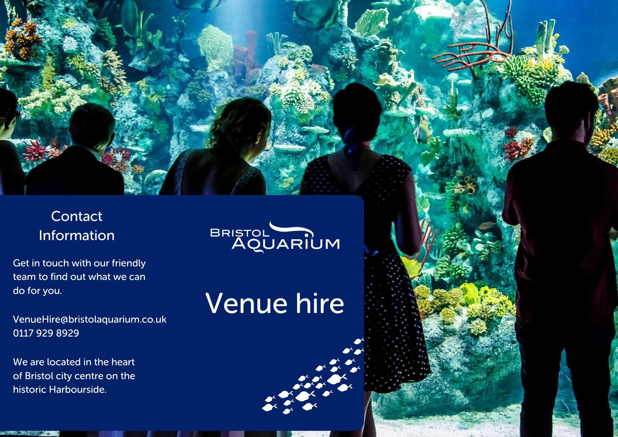 Venue Hire | Events and Experiences | Bristol Aquarium