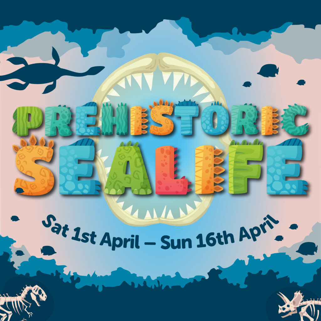 What Am I? Guess the Ocean Creatures from These Cryptic Clues - Bristol ...