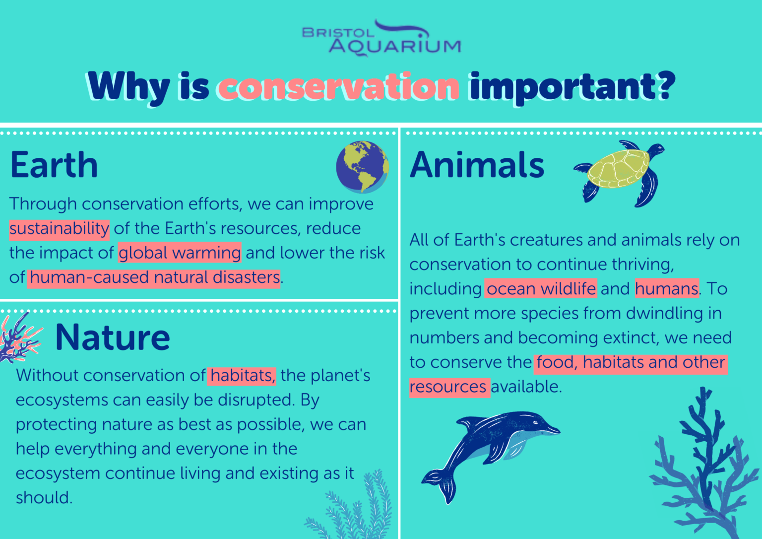 Teaching Kids About Conservation - Bristol Aquarium