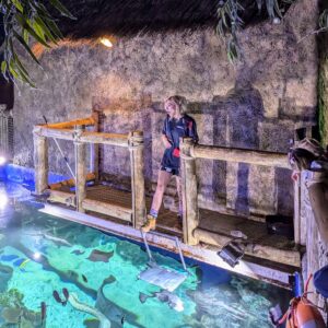 IMAX Bristol | Bristol Megascreen